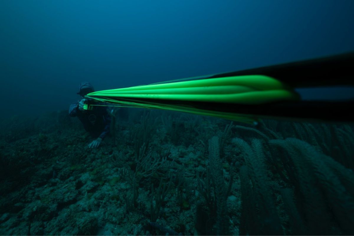 How to Shoot a Speargun like a Pro | 4 Pro Tips