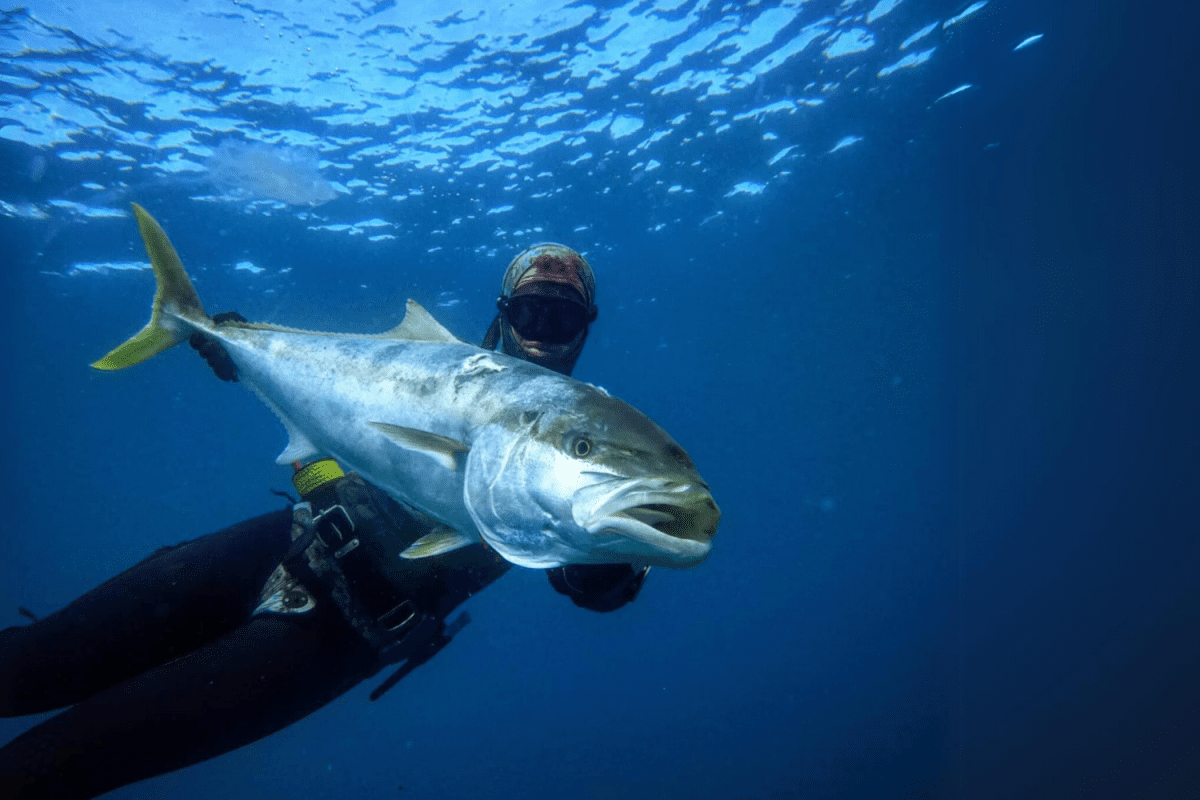 8 Best Spearfishing Destinations Worldwide rated by Experts