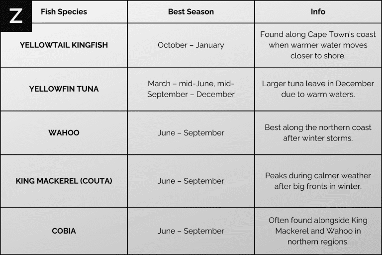 Spearfishing South Africa | All You Need To Know